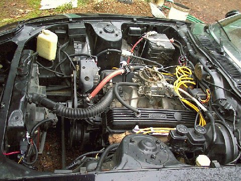 V-8Z